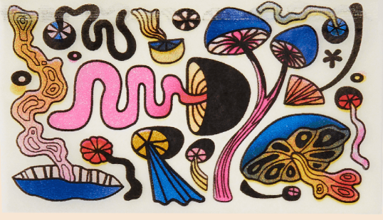 Shroom Cone by Field Trip | Clara Jane Hemp Dispensary - Nashville